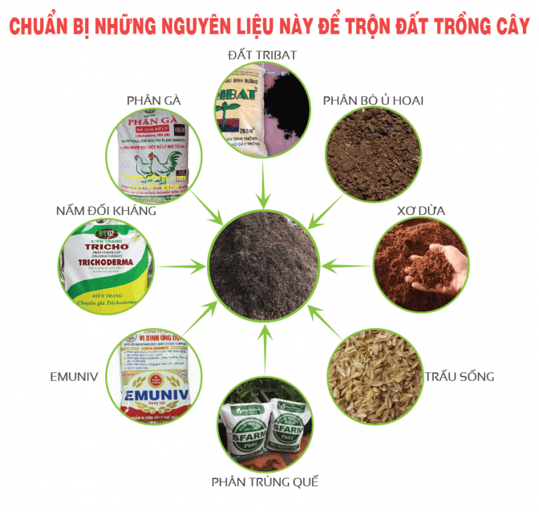 Cách trộn đất trồng cây hiệu quả với mọi loại cây trồng.